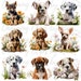 Puppy Clipart Bundle, Cute Puppy Clipart, Dogs Clipart, Watercolor Cute ...