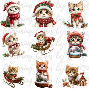 Cute Kitten Clipart Bundle, Christmas Cat PNG, Quirky Cats, Kittens PNG ...