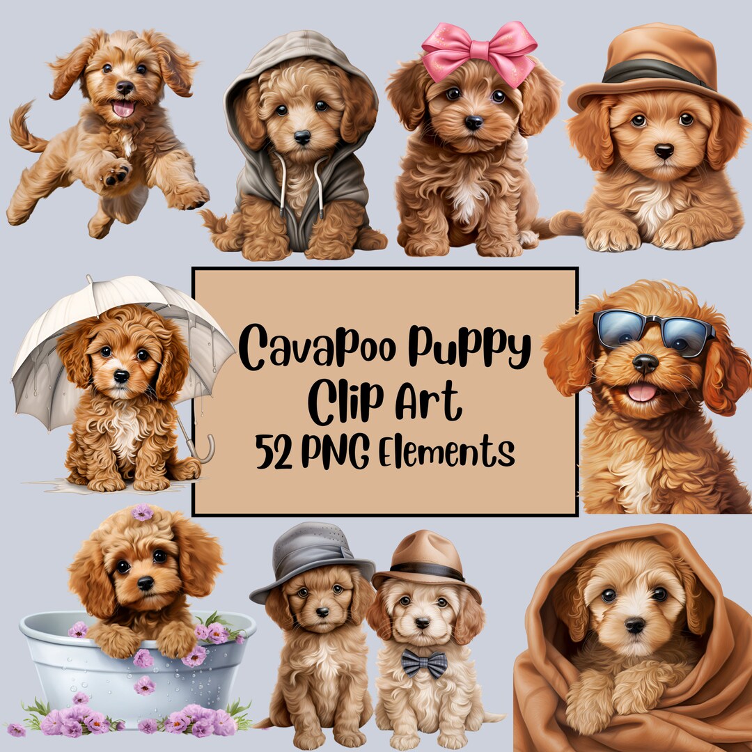 Cavapoo Clipart | Dog Graphics | Dogs Illustrations | Dog Clipart ...