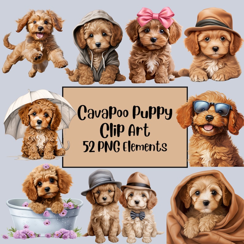 Cavapoo Clipart Dog Graphics Dogs Illustrations Dog Clipart Bundle Cute ...