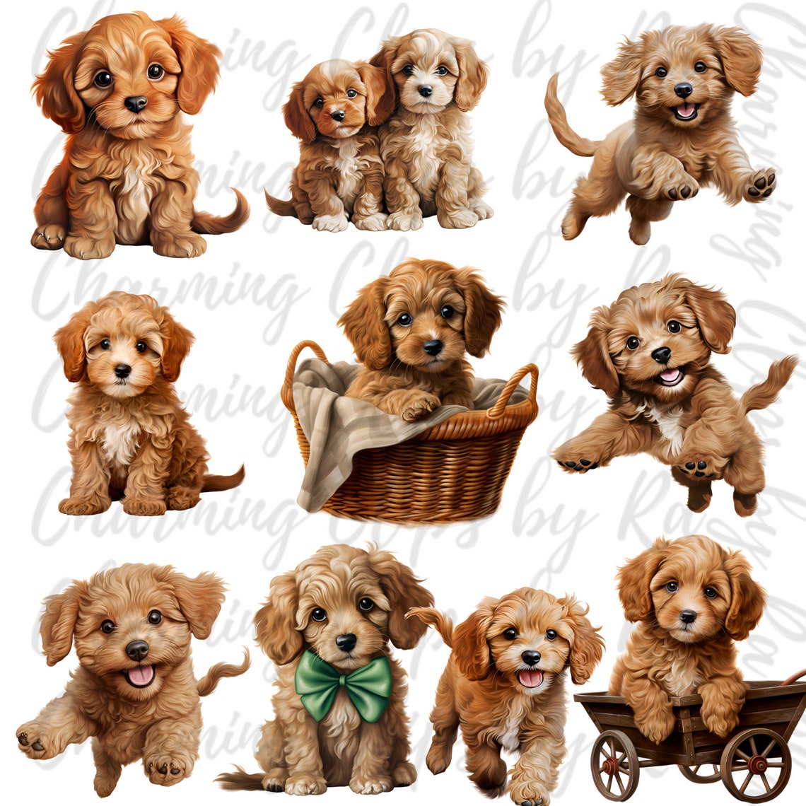 Cavapoo Clipart Dog Graphics Dogs Illustrations Dog Clipart Bundle Cute ...