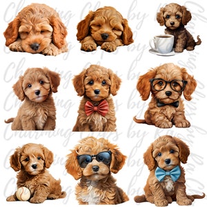 Cavapoo Clipart | Dog Graphics | Dogs Illustrations | Dog Clipart ...