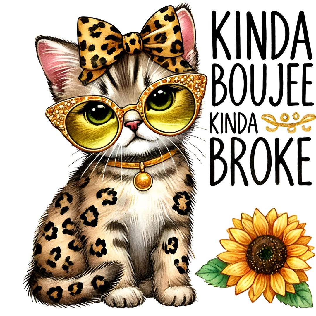 Kinda Boujee Kinda Broke Png, Funny Kitten PNG, Funny Mom Sublimation ...