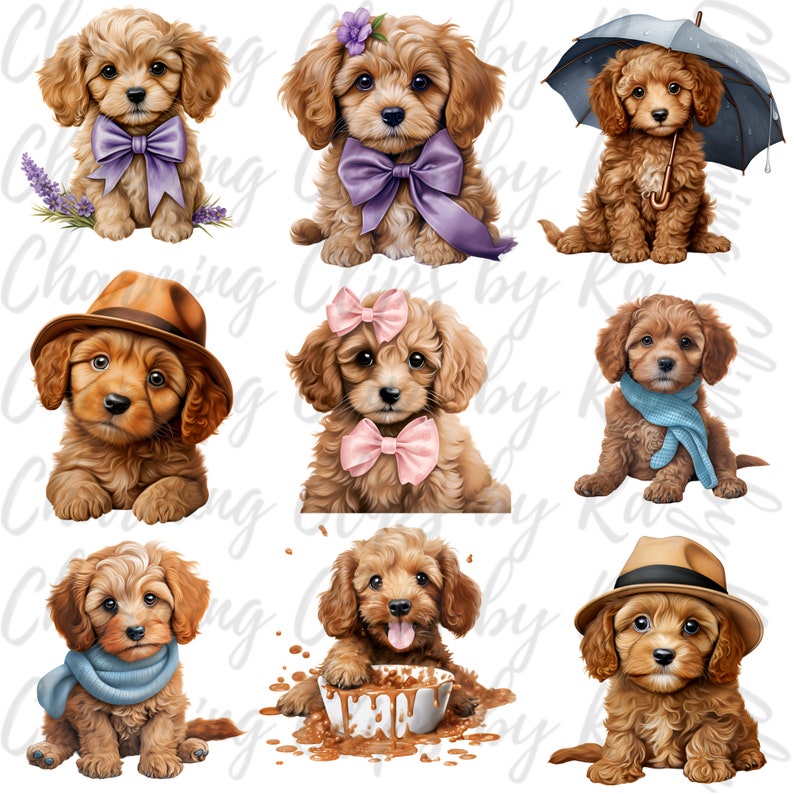 Cavapoo Clipart Dog Graphics Dogs Illustrations Dog Clipart Bundle Cute ...