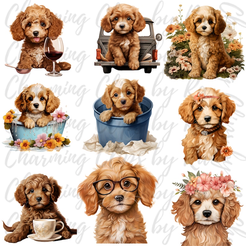 Cavapoo Clipart Dog Graphics Dogs Illustrations Dog Clipart Bundle Cute ...