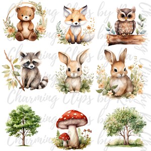 Woodland Animals Clipart Watercolor, Cuteness Woodland Animal, Woodland ...