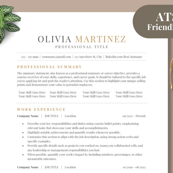 Resume Template With Two Columns Ats Friendly - Etsy