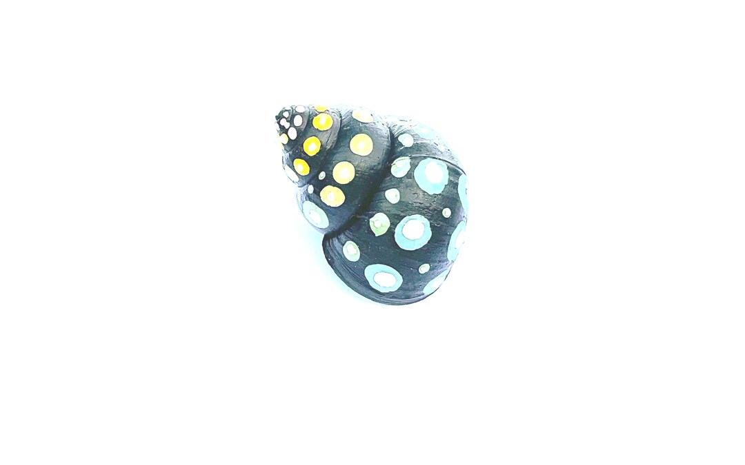 Artisan Hand Painted Dotted Shells; Fekete Treasures - Etsy