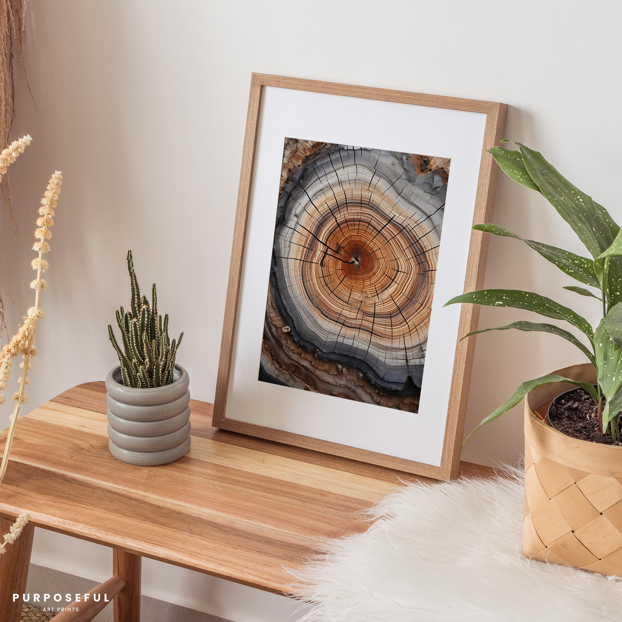 Cross Section, Large Tree Rings Print, Brown Coloured Tree Print, Tree ...