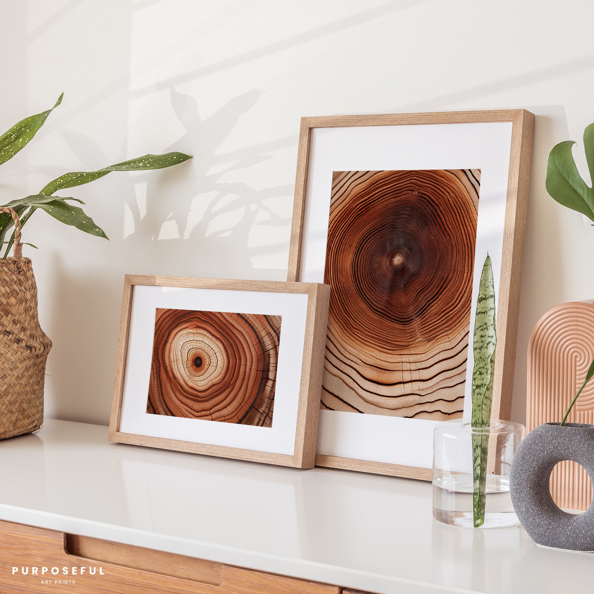 Set of 2 Art Prints, Tree Cross Section, Log Pattern, Tree Rings Print ...