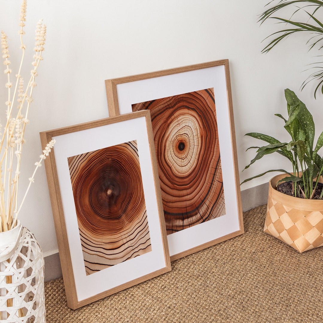 Set of 2 Art Prints, Tree Cross Section, Log Pattern, Tree Rings Print ...