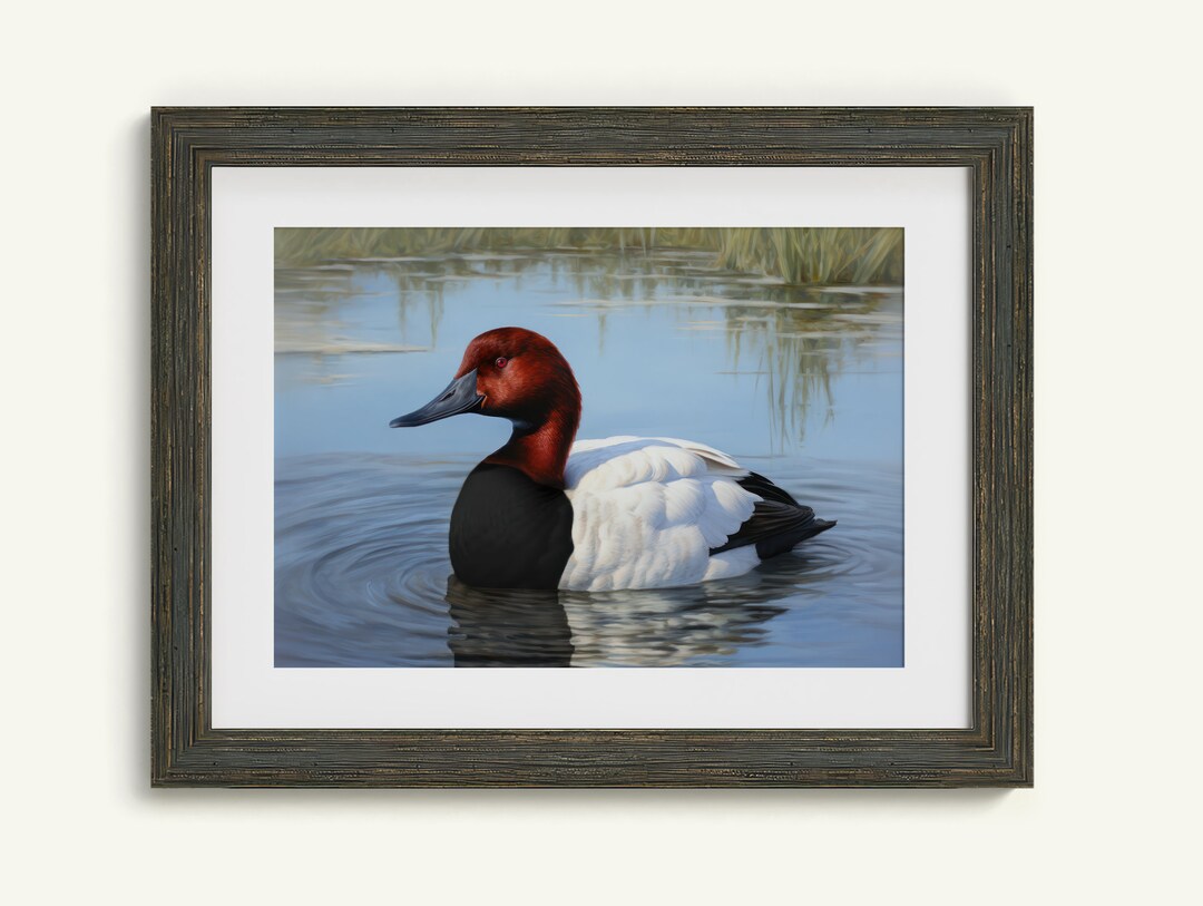 Canvasback Duck Wall Art, Printable Country Décor Digital Download Wall ...