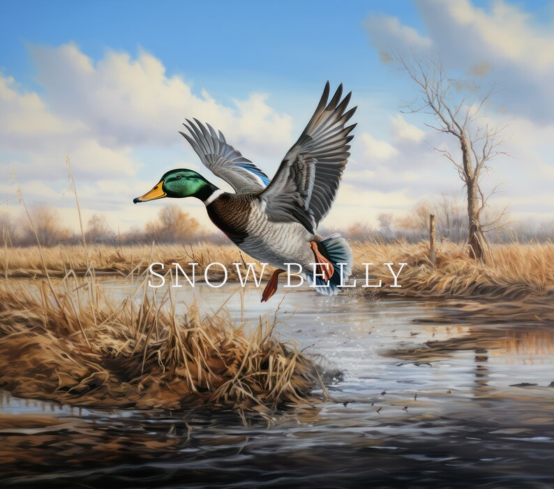 Mallard Duck Wall Art, Printable Country Décor, Digital Download Wall ...