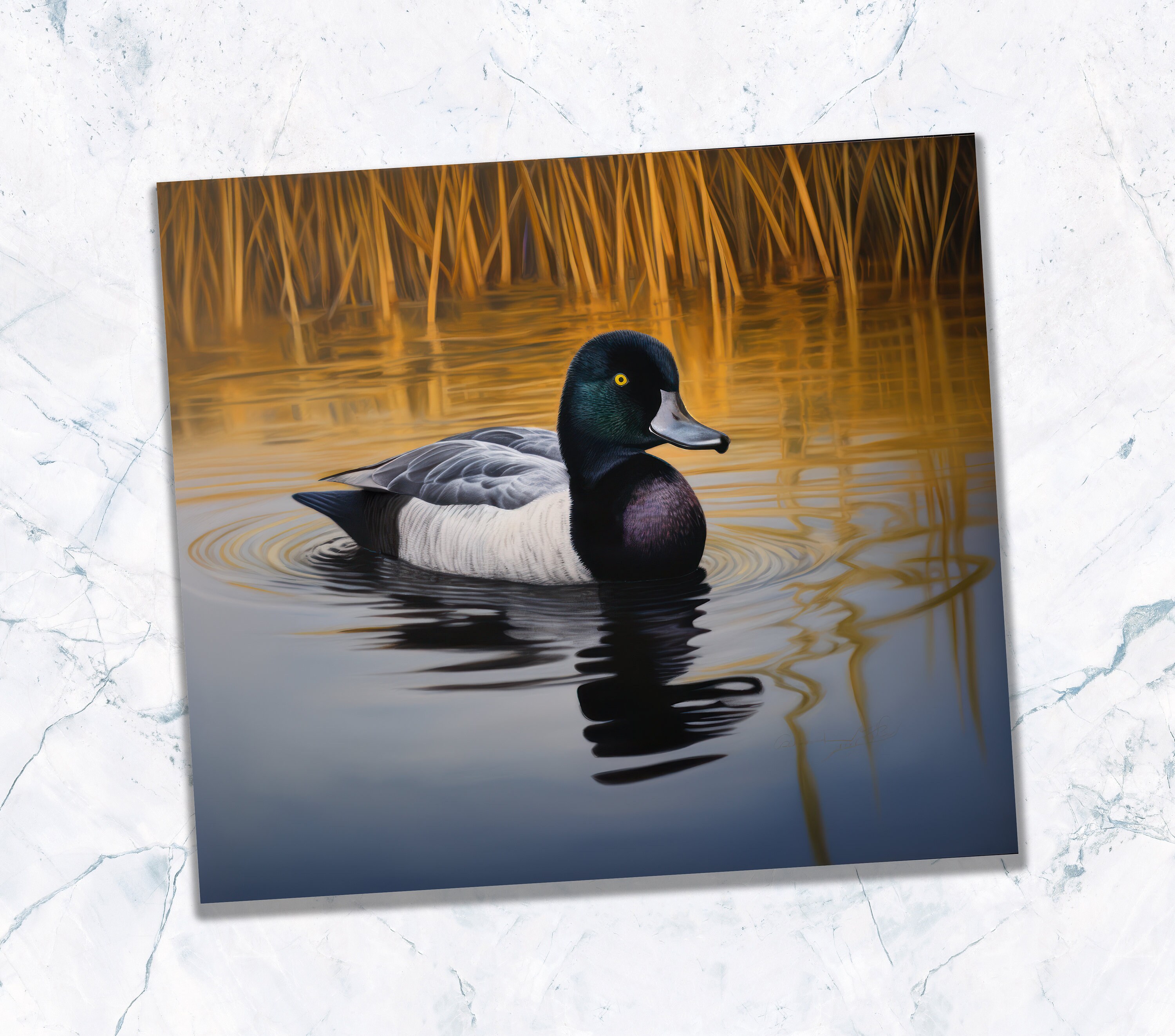 Bluebill Duck Tumbler Wrap Outdoors 20 Oz Skinny Tumbler - Etsy