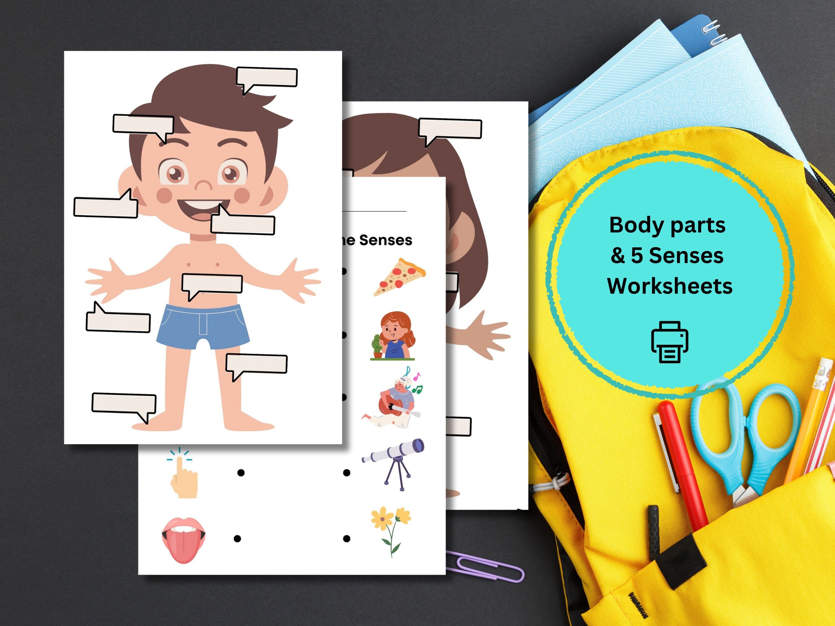 Preschool Body & Senses / Flashcards , Worksheets Activities Montisory ...