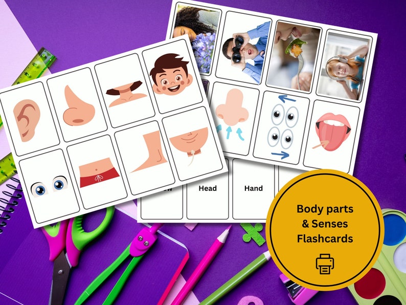 Preschool Body & Senses / Flashcards , Worksheets Activities Montisory ...