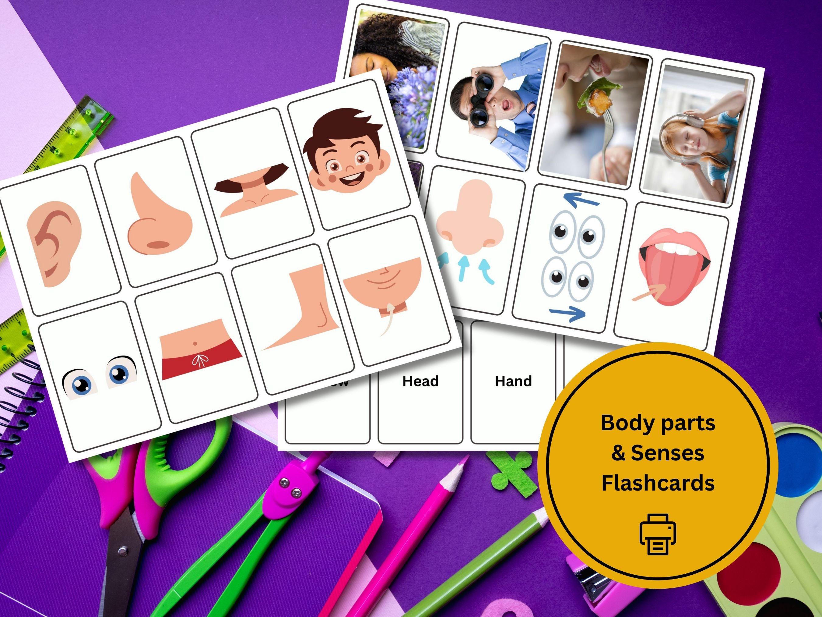 Preschool Body & Senses / Flashcards , Worksheets Activities Montisory ...