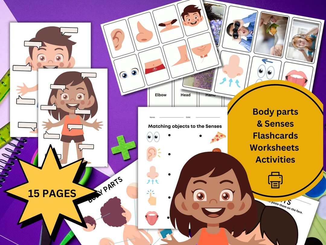 Preschool Body & Senses / Flashcards , Worksheets Activities Montisory ...