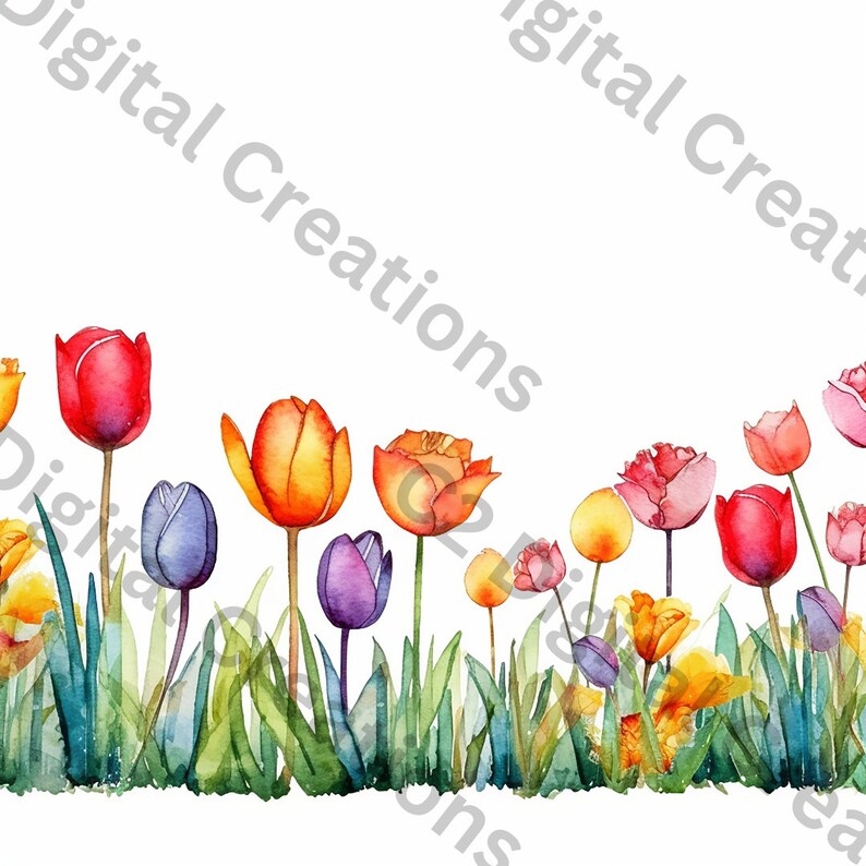 20+ Watercolor Tulip Borders-wild Flowers-premade-floral Clipart ...