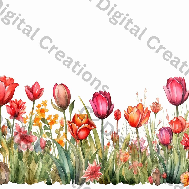 20+ Watercolor Tulip Borders-wild Flowers-premade-floral Clipart ...