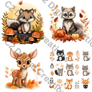 Woodland Fall Clipart Set - Fall Woodland Animal Clipart Set in PNG ...