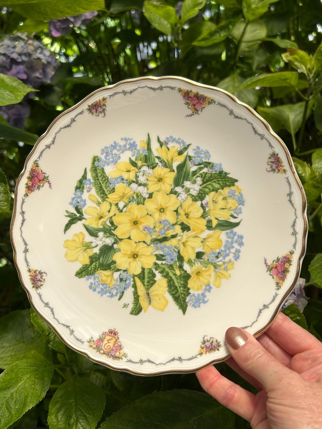 Royal Albert | ‘primroses’ | Collectors Plate | Queen Mother’s Flower ...