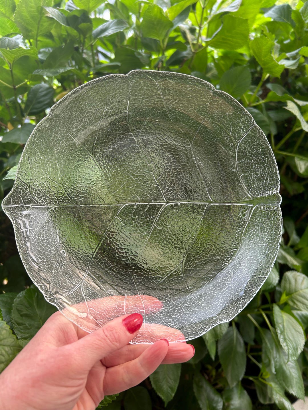 Arcoroc | Deep Glass Bowl | Aspen Leaf Pattern | Dessert, Soup Bowl ...