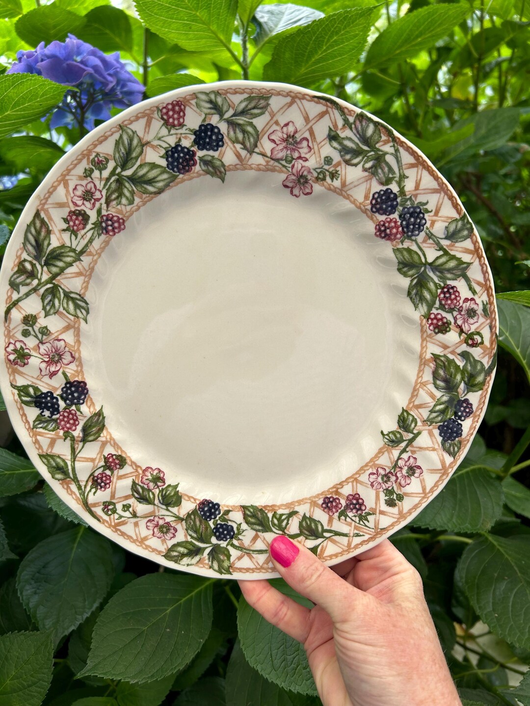 Churchill | "blackberry Trellis | Dinner Plate | 25cm | Vintage English ...