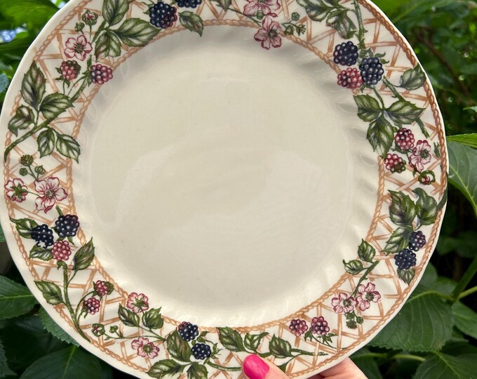 Churchill | "blackberry Trellis | Dinner Plate | 25cm | Vintage English ...