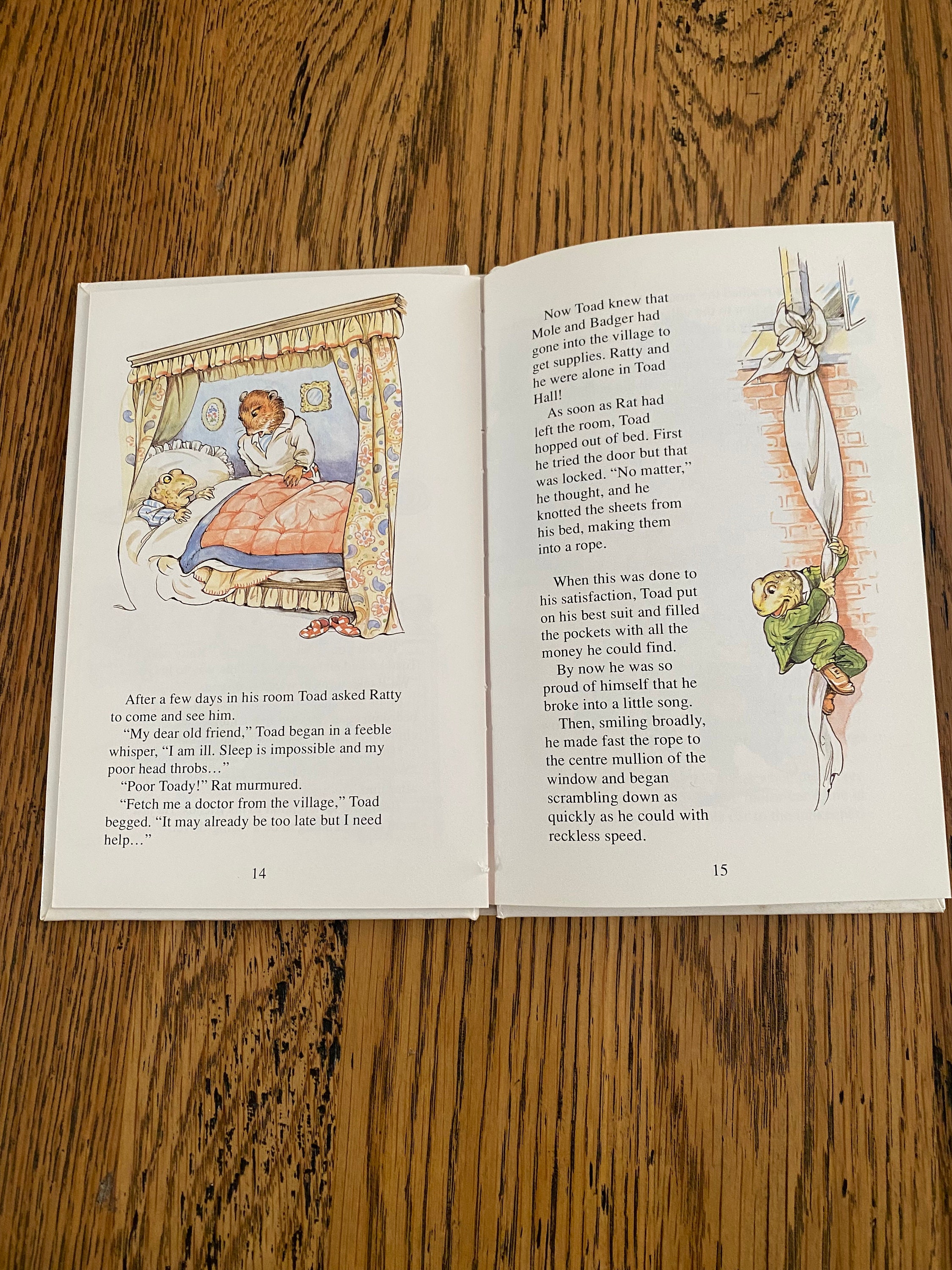 Mr. Toad the Wind in the Willows Adaptation 1990s Children's Classic ...