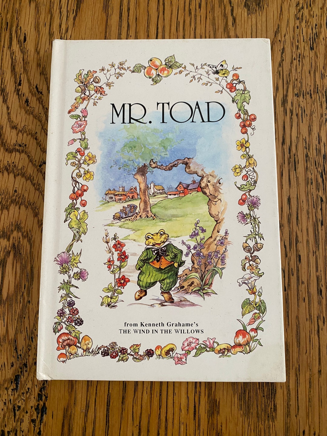 Mr. Toad | the Wind in the Willows Adaptation | 1990s Children's ...