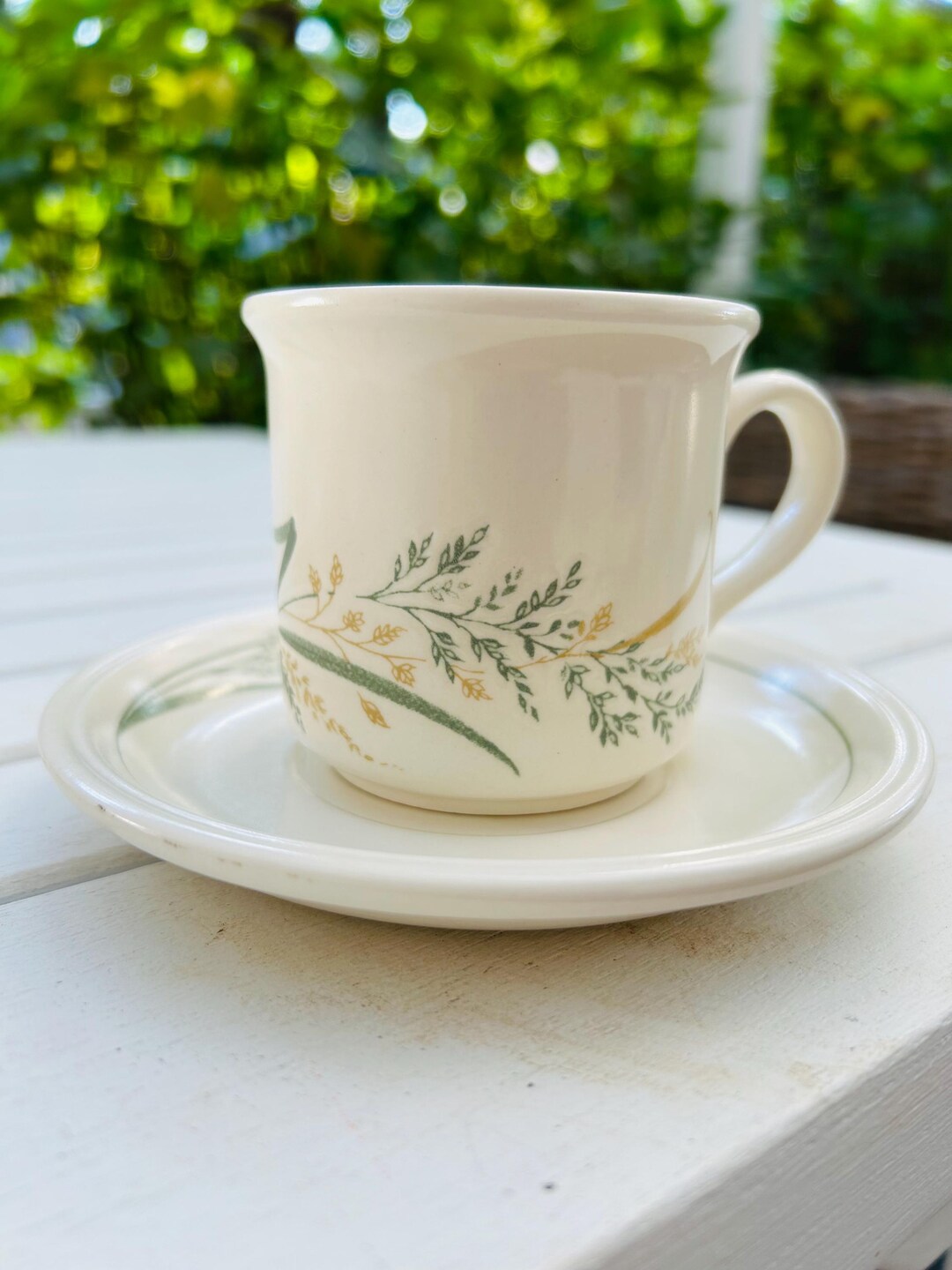 Biltons | Coloroll Ironstone | Cup & Saucer | Set of 3 | Green Grasses ...