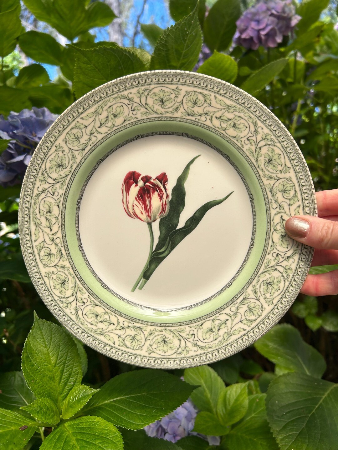 RHS Applebee Collection Plate | Tulip Design | Green | 21cm | Royal ...