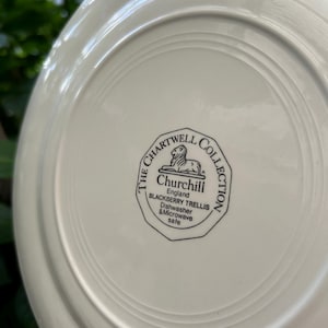 Churchill | "blackberry Trellis | Dinner Plate | 25cm | Vintage English ...
