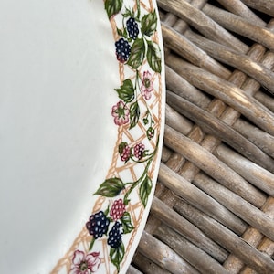Churchill | "blackberry Trellis | Dinner Plate | 25cm | Vintage English ...