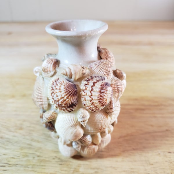 Seashell Vase - Etsy