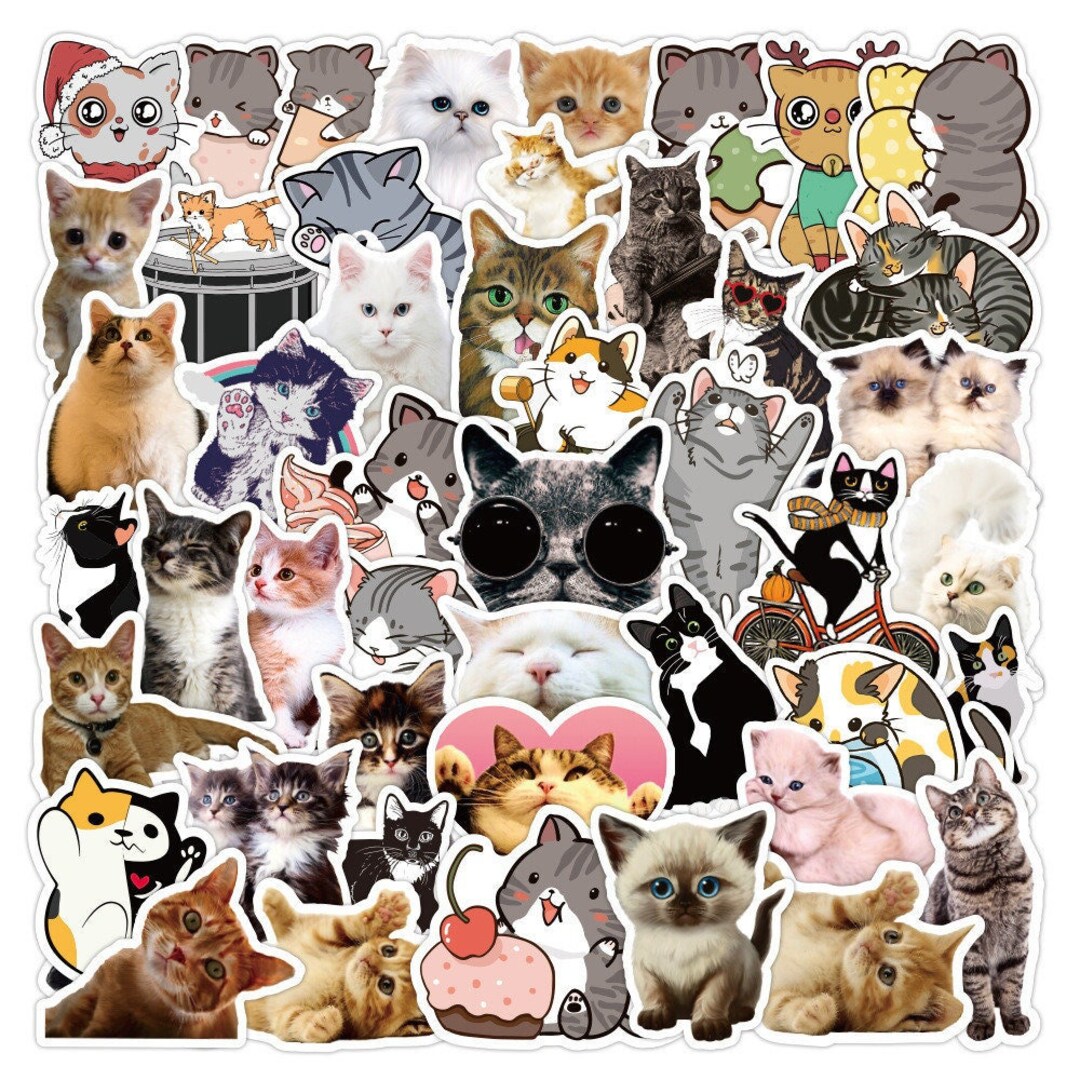 50-200 Pcs Vinyl Cat Stickers Cat Memes Funny Stickers Anime Cat ...