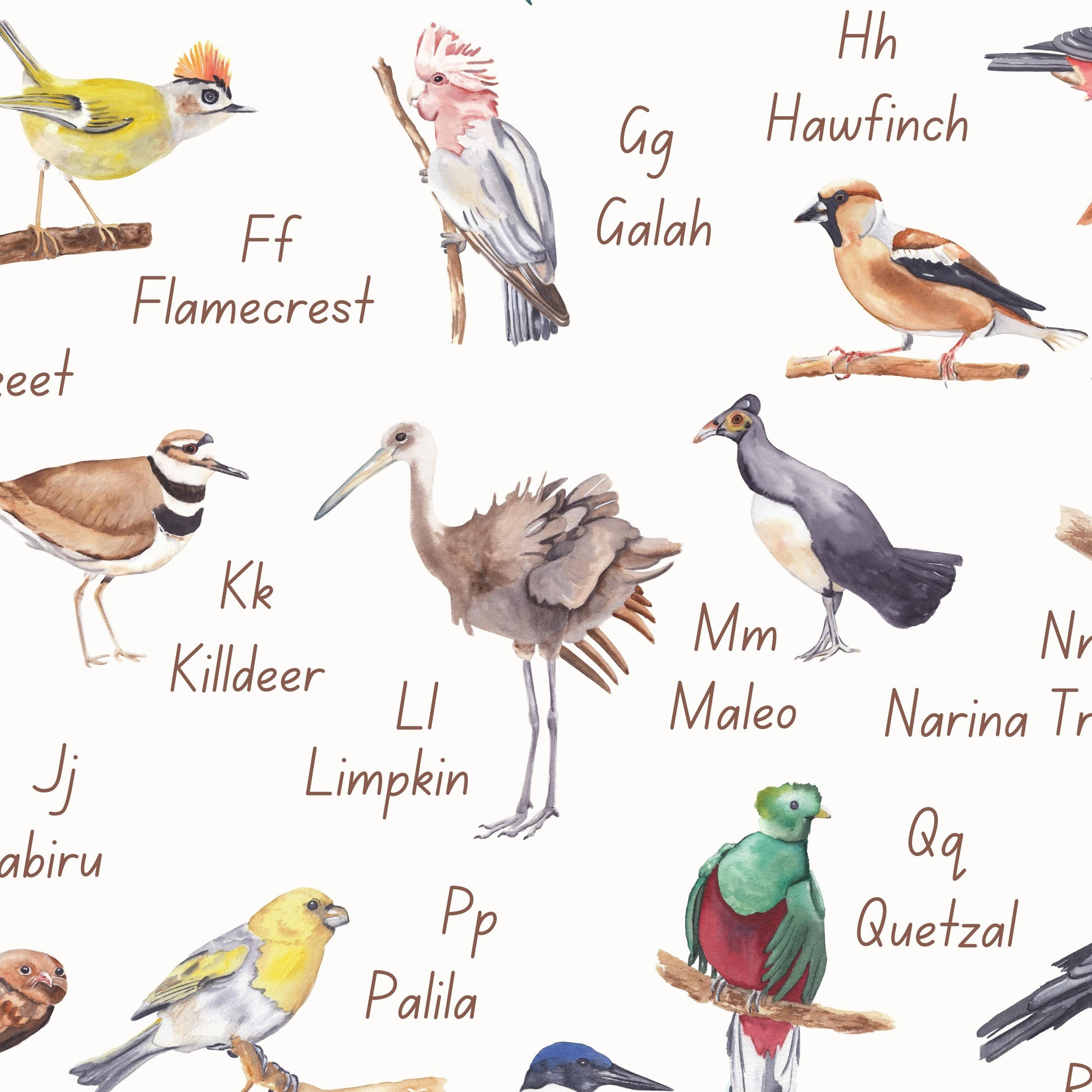 Bird Alphabet Poster Bird Numbers Poster Birds Nursery Decor ABC Animal ...