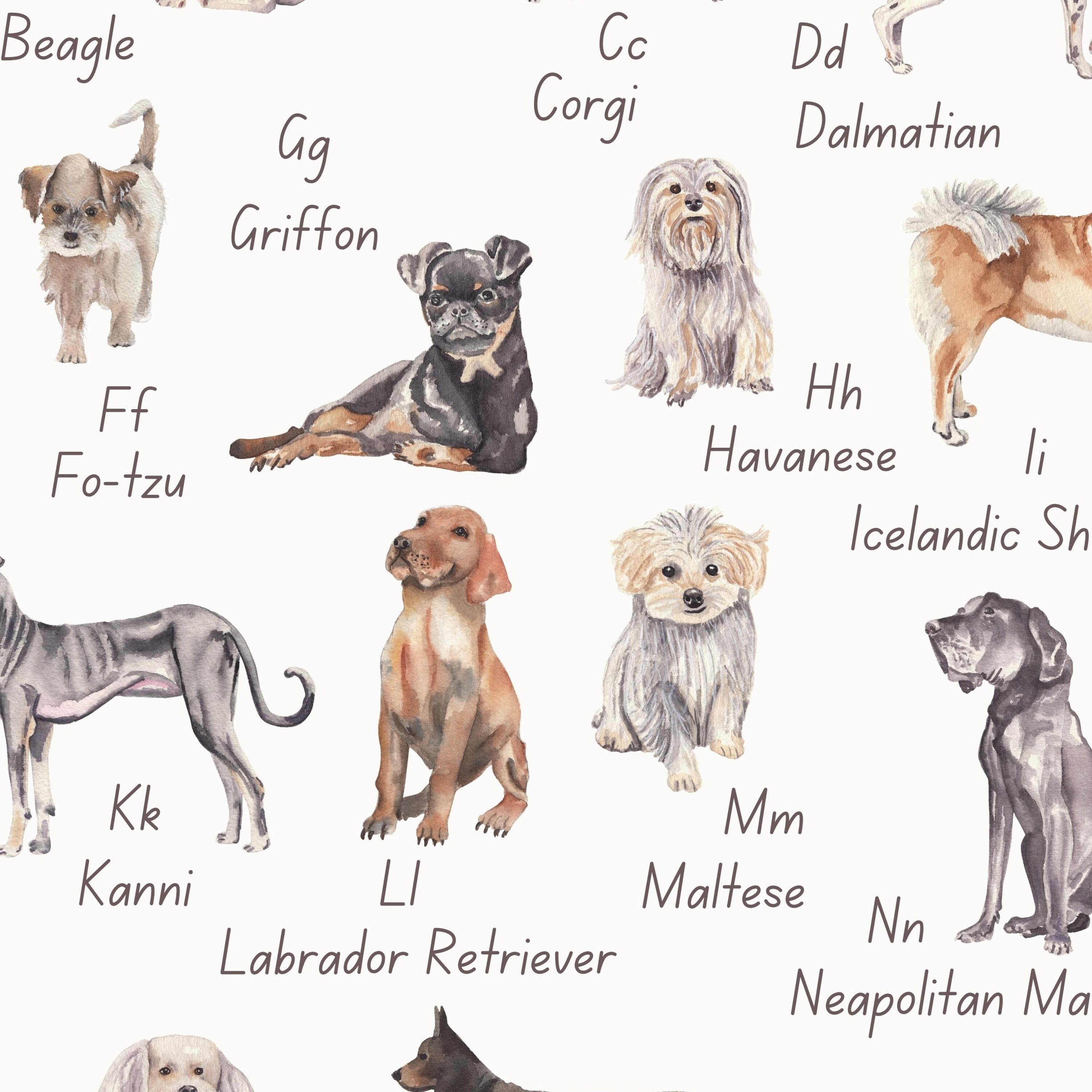 Dog Breed Alphabet Poster Dog Alphabet Poster ABC Animals Poster Dog ...