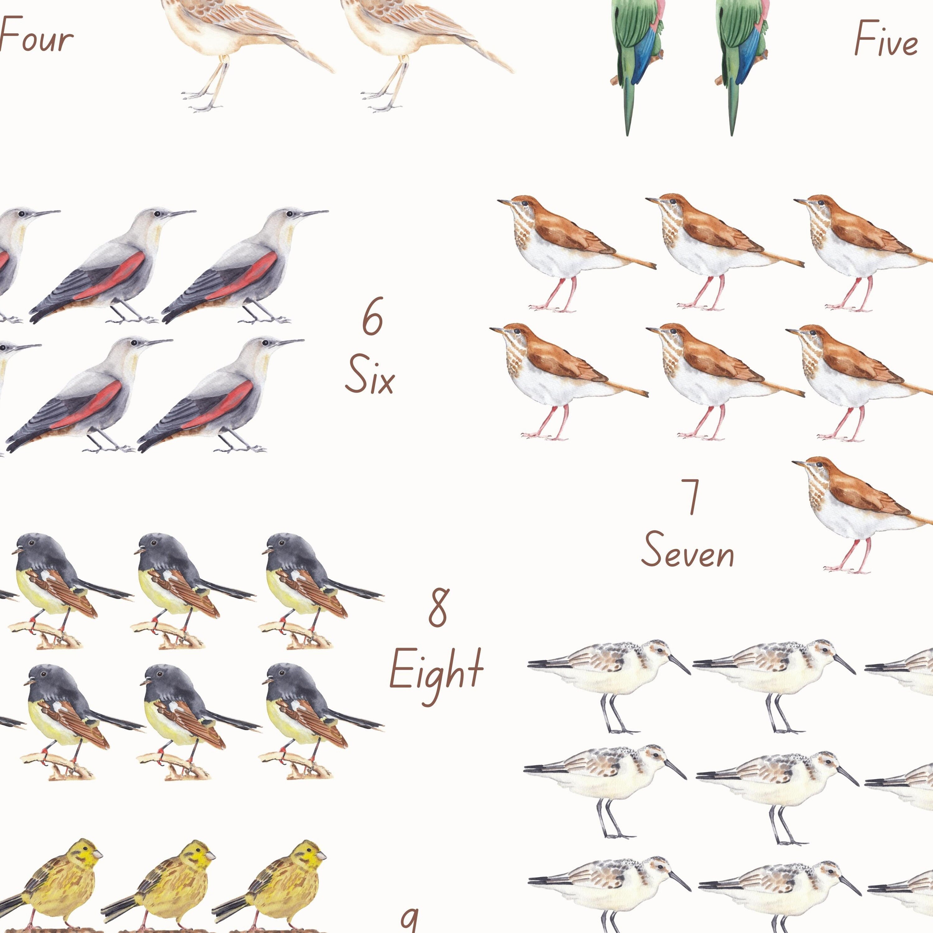 Bird Alphabet Poster Bird Numbers Poster Birds Nursery Decor ABC Animal ...