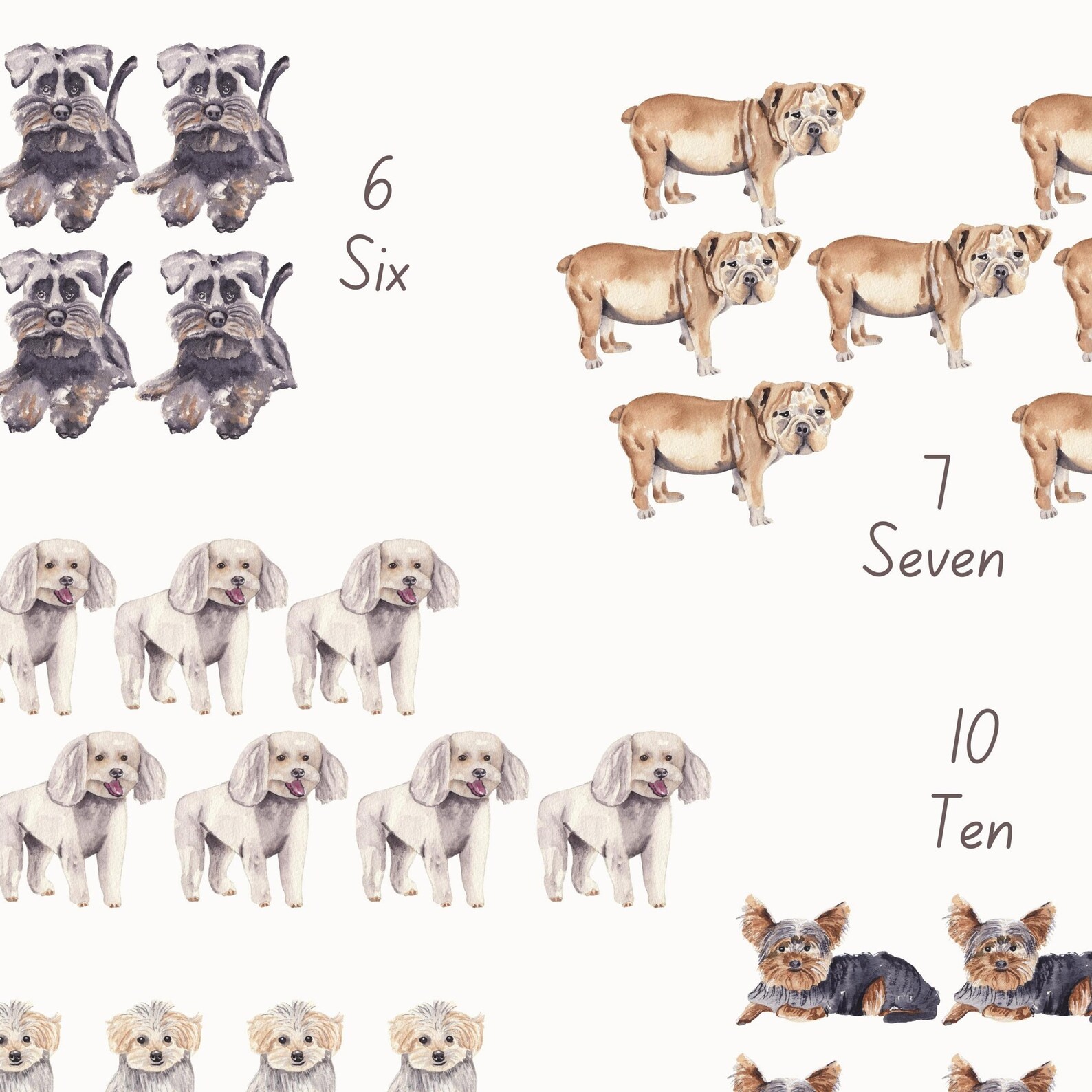 Dog Breed Alphabet Poster Dog Alphabet Poster ABC Animal Poster Dog ...