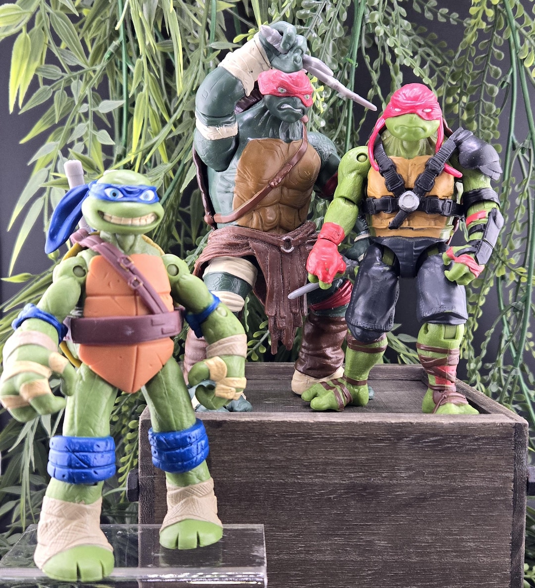 Teenage Mutant Ninja Turtles Action Figure Viacom and Paramount ...