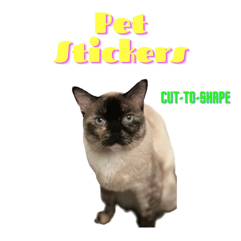 25 Custom Die Cut Vinyl Sticker Pack. Cut to Shape Stickers - Etsy