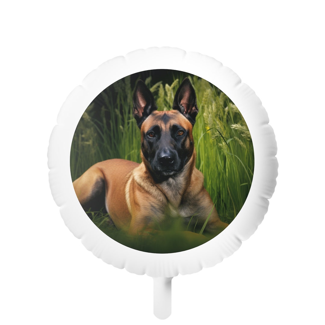 Mylar Helium Balloon, 22inch, Belgian Malinois Balloon, Maligator, Dog ...