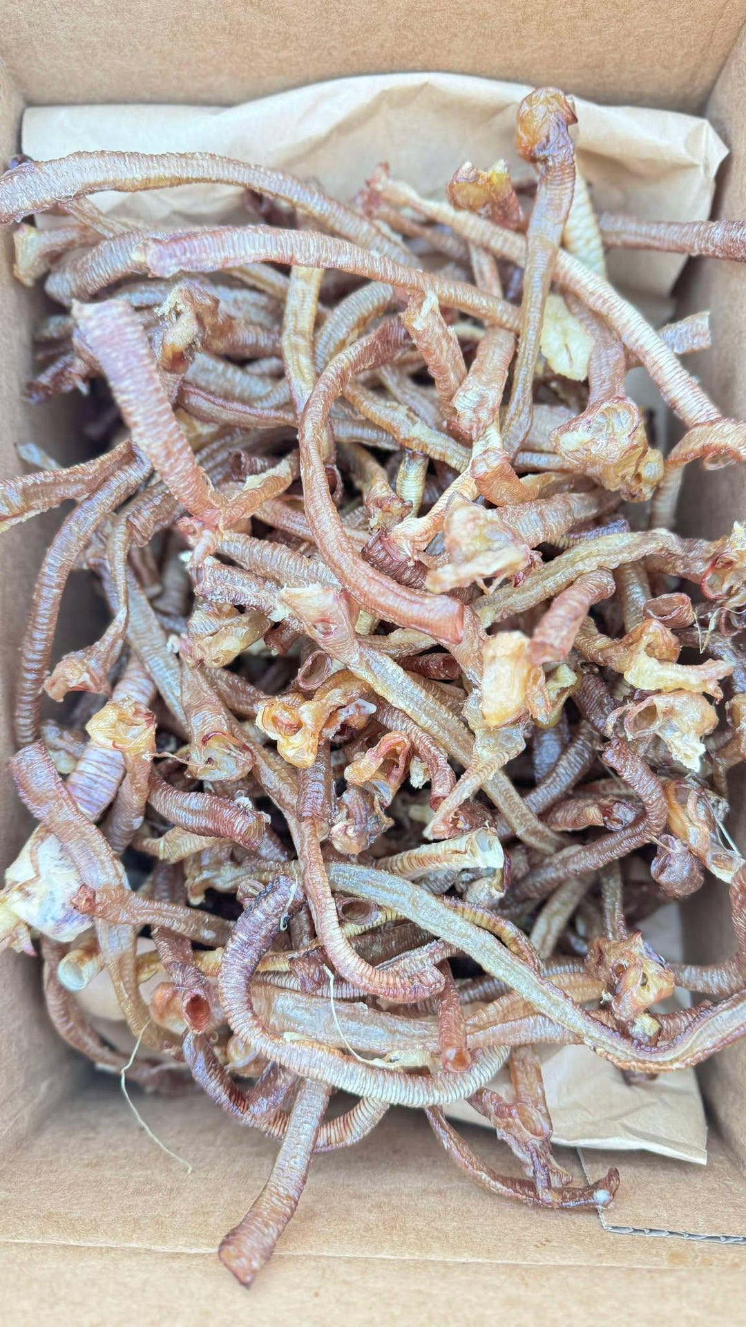 NEW Duck Trachea Whole Pieces, 5-7 Inch Long Free Ranged Ducks, Safe ...