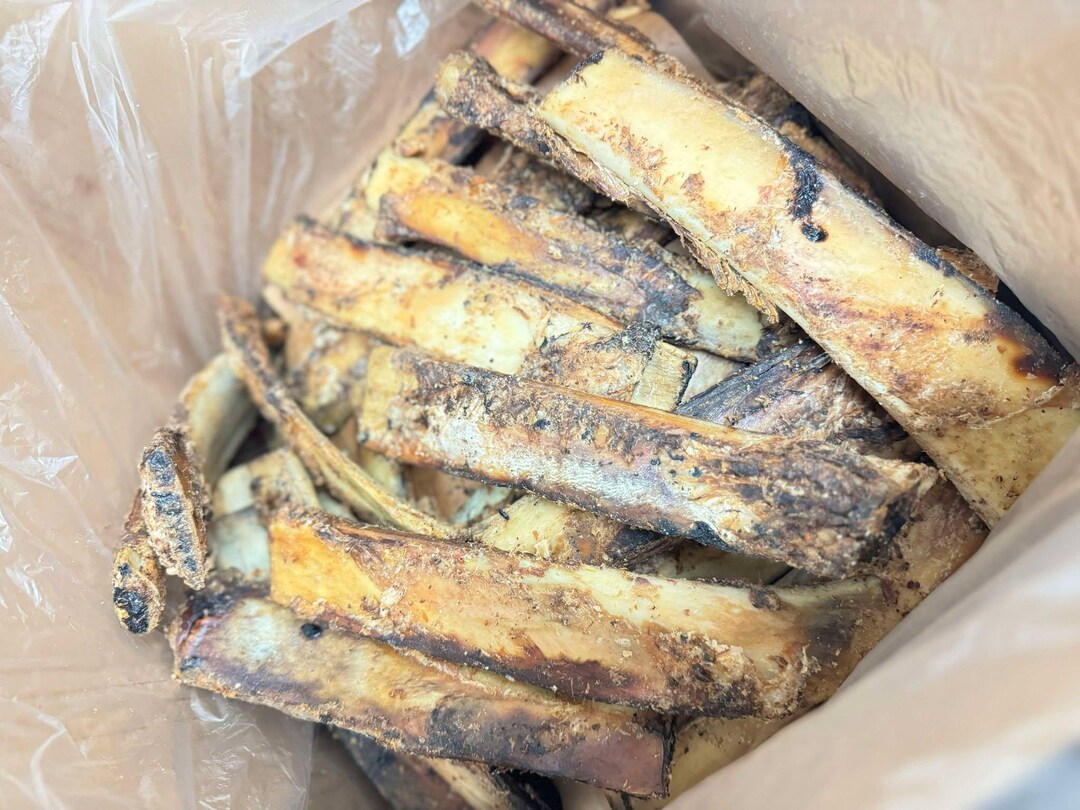 Dehydrated LARGE Beef Rib Bone, 8-9 Inch, Natural Treat for Dogs, 100% ...