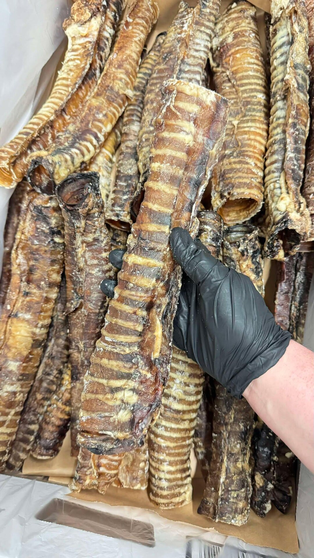 LONG Beef Trachea, 12" Average Length, Natural Cow Chew for Dogs, Big ...