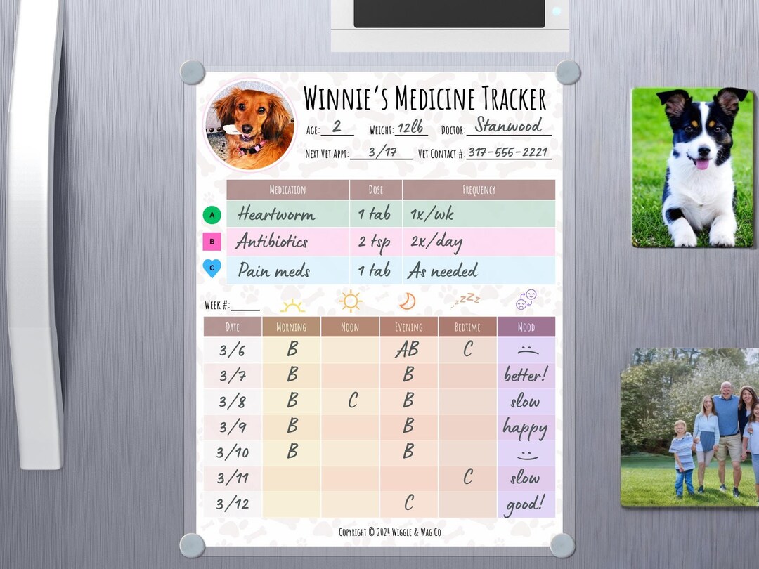 Custom Pet Medicine Tracker, Reusable Pet Care Chart, Personalized Pet ...
