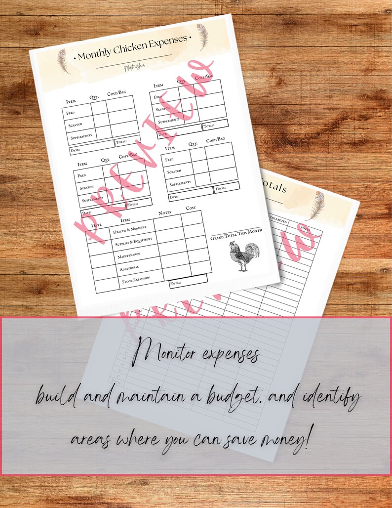 Chicken Egg Records Worksheet Digital Bundle Layer Hen Flock Monthly ...