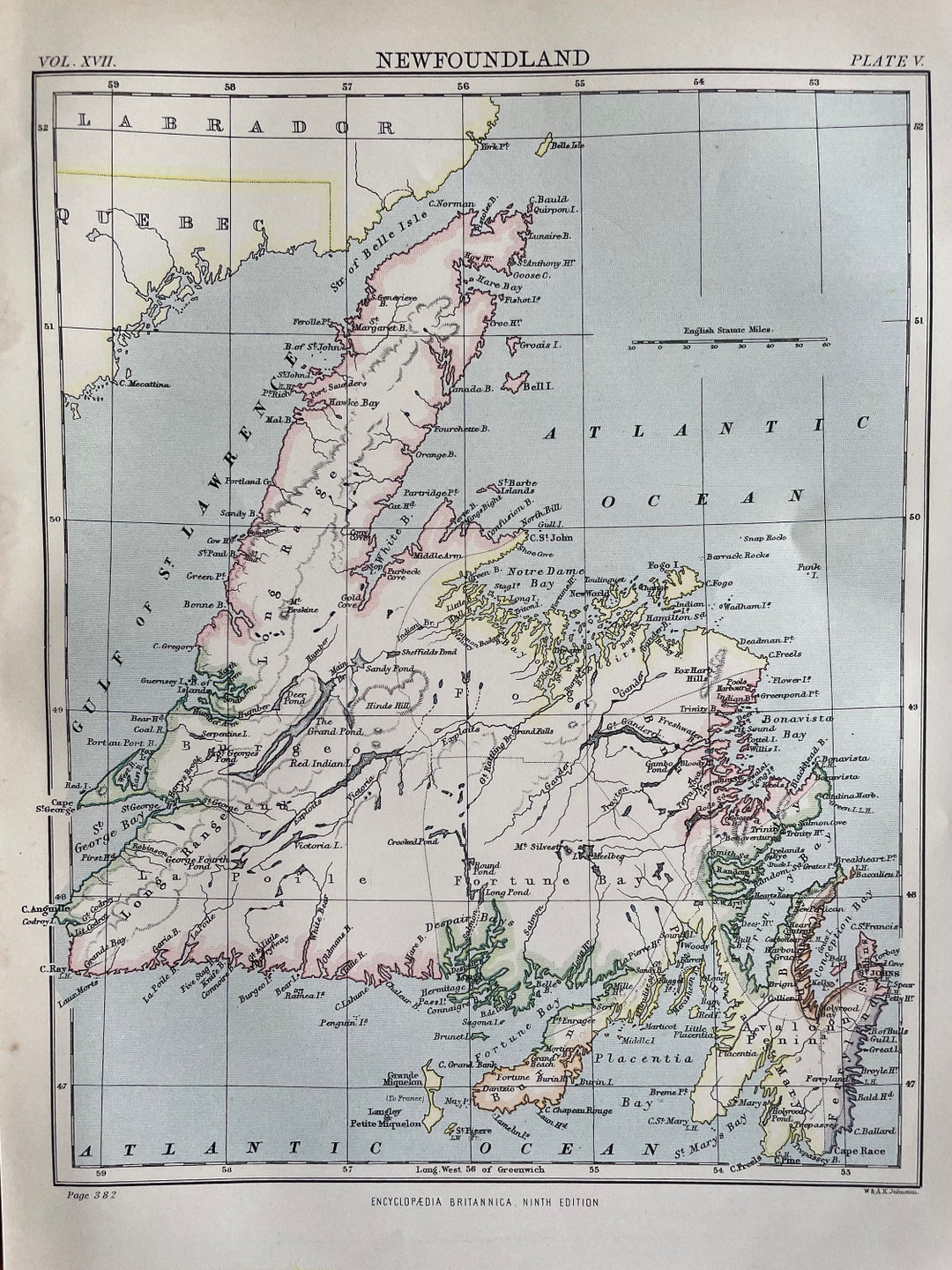 Newfoundland, Original Antique 1870's Map, Vintage Wall Map, Home Decor ...